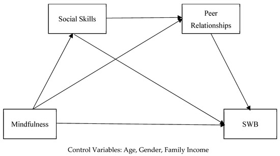 Social Skills and Peer Relationships as Serial Mediators Between ...