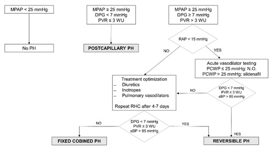 Non-Invasive Assessment of Pulmonary Vasculopathy