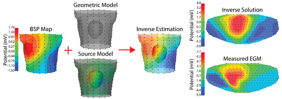 Body Surface Potential Mapping: Contemporary Applications and Future ...