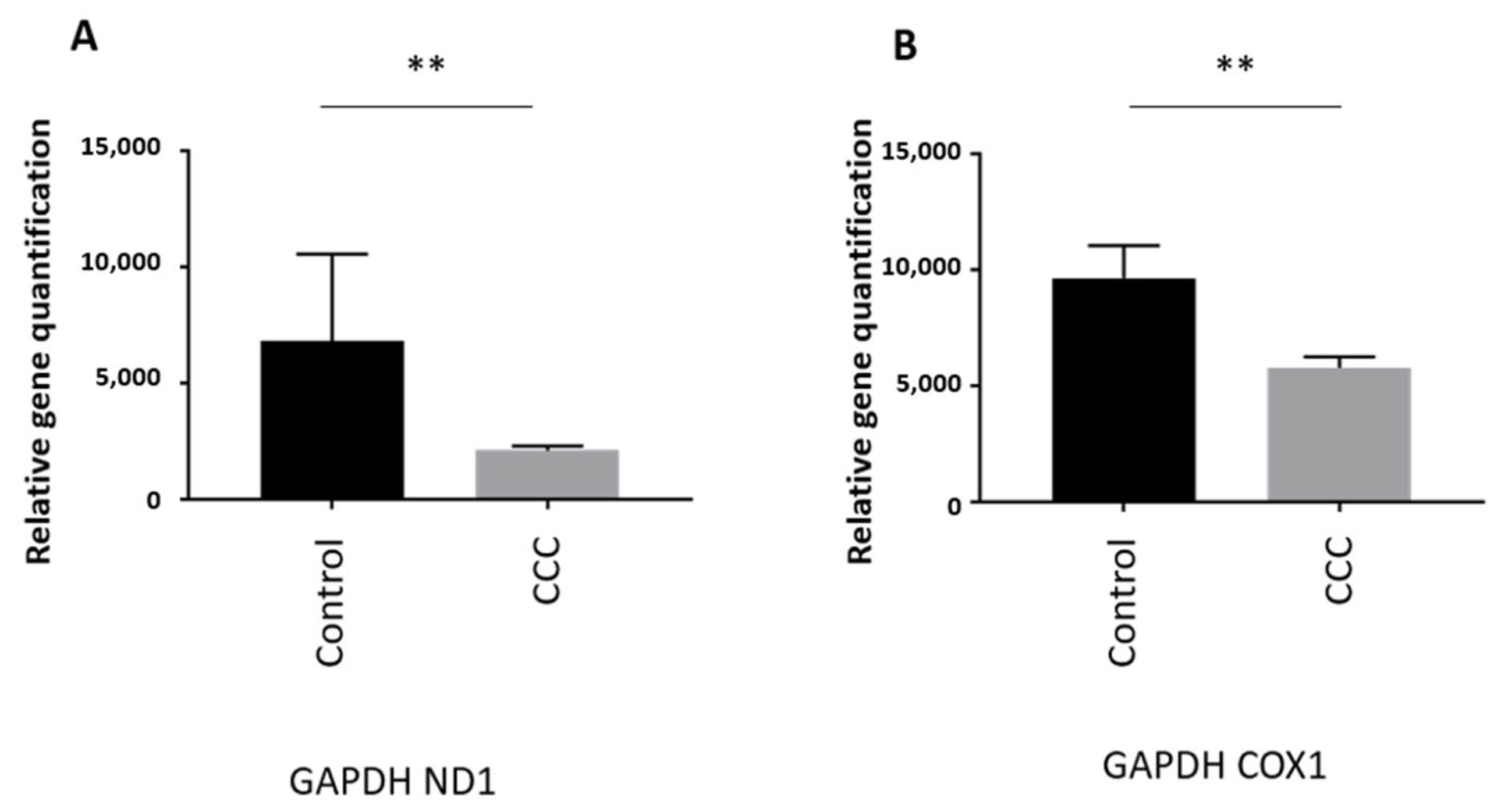 Mitochondrial DNA Haplogroups and Variants Predispose to Chagas Disease ...