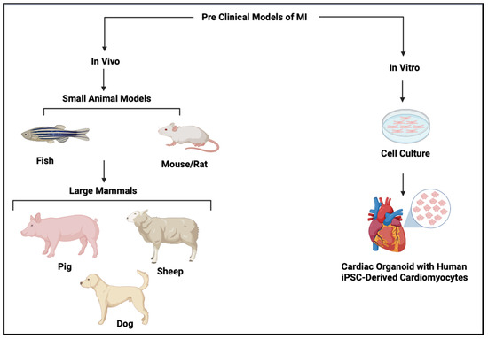 Progress in Disease Modeling for Myocardial Infarction and Coronary ...