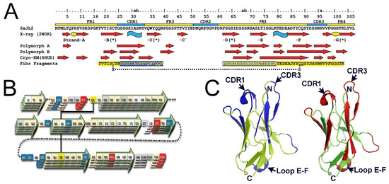 Hemato | An Open Access Journal from MDPI