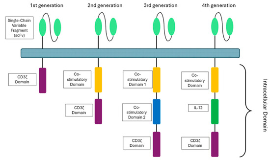 CAR-T Therapy in Multiple Myeloma: Looking Beyond
