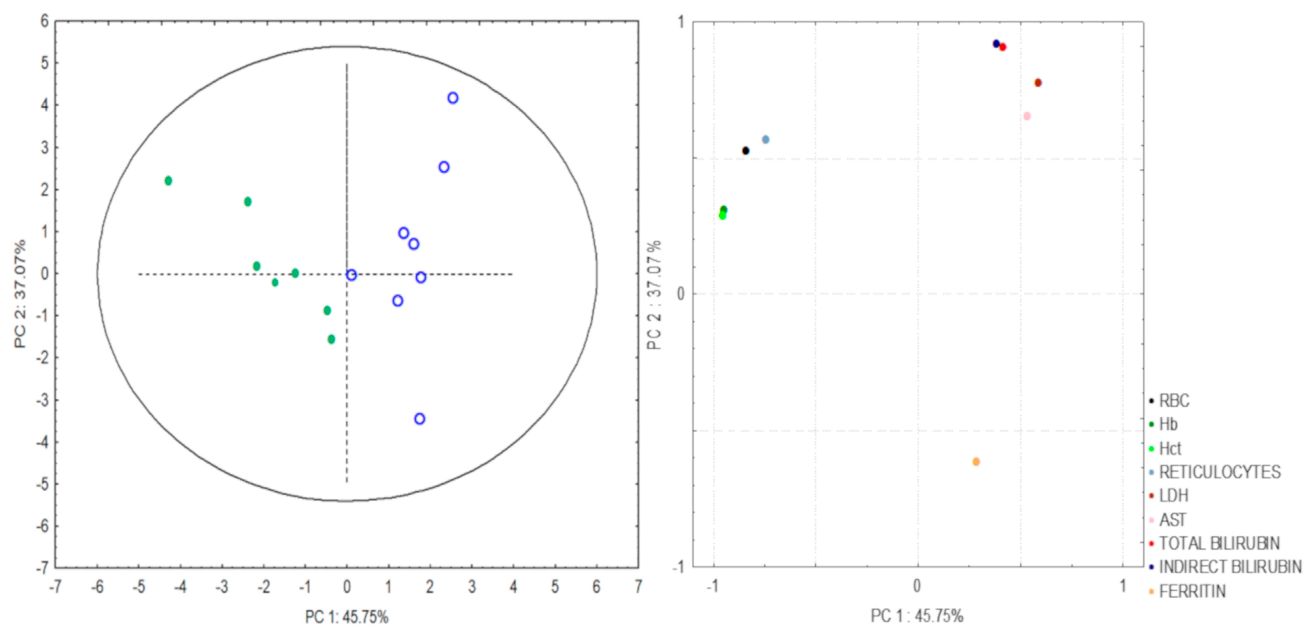 Leg Ulcers in Sickle Cell Disease: A Multifactorial Analysis Highlights ...