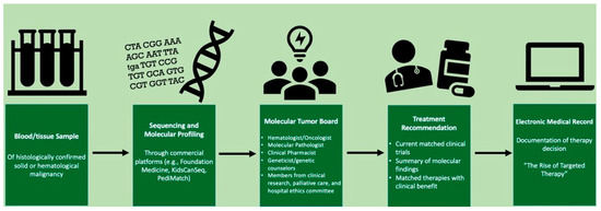 Molecular Tumor Boards: The Next Step towards Precision Therapy in Cancer Care