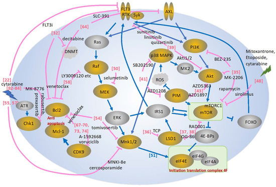 Combination Therapies with Kinase Inhibitors for Acute Myeloid Leukemia ...