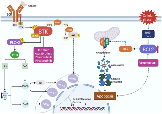 Current Therapeutic Sequencing in Chronic Lymphocytic Leukemia