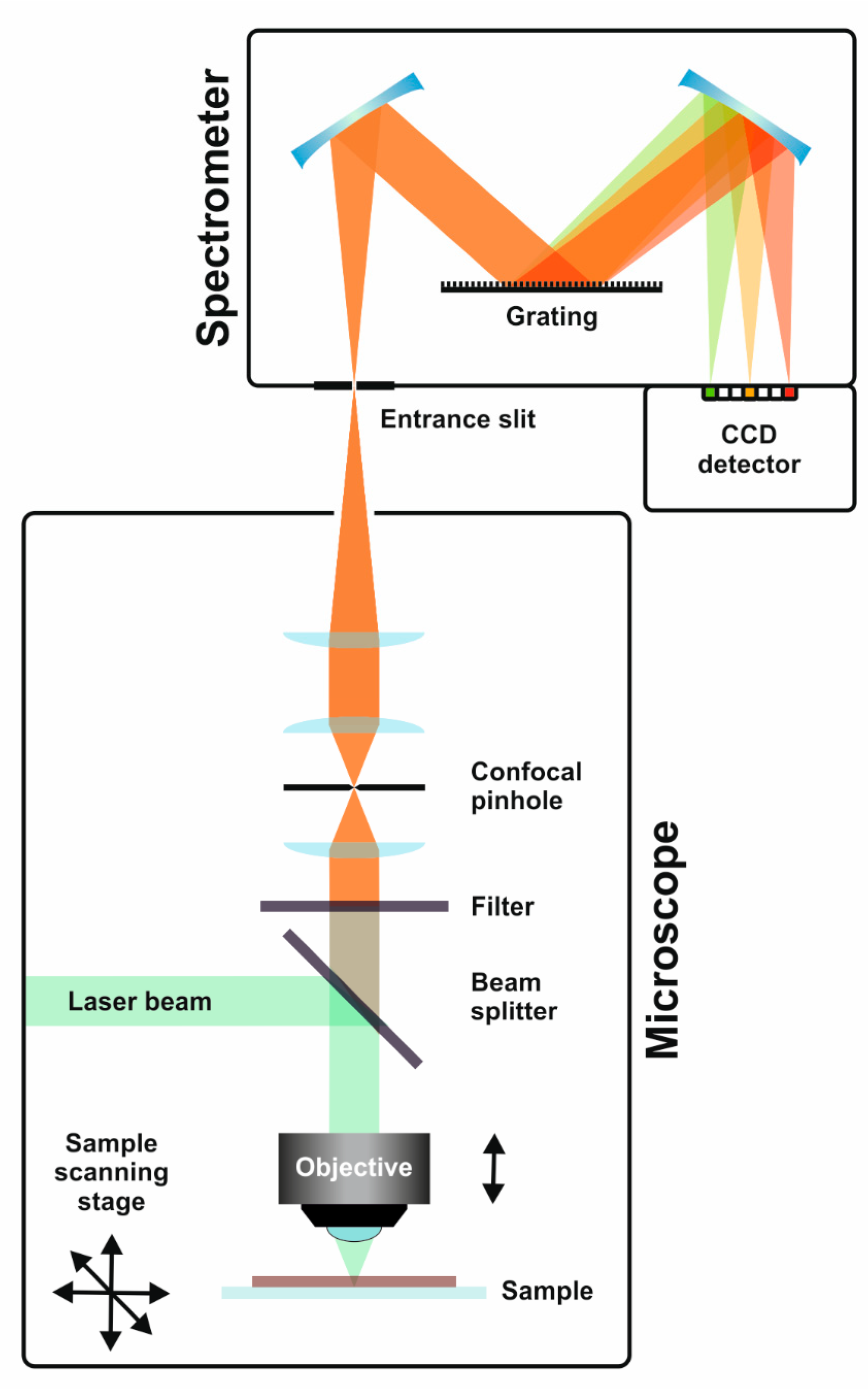 Raman Microspectroscopic Imaging of Binder Remnants in Historical ...