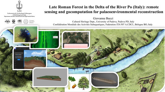 Heritage | Free Full-Text | Late Roman Forest in the Delta of the River ...