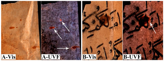 Paper Foxing Stains on a Historic Manuscript from the Early Qajar Era ...