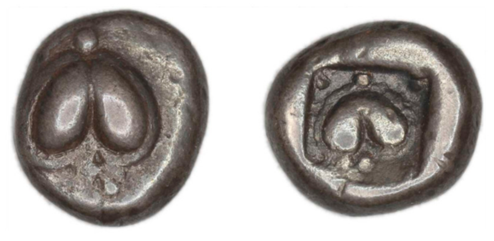 Searching for Silphium: An Updated Review