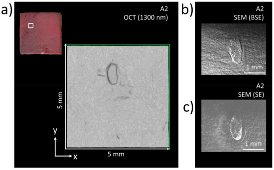 Spectroscopic and Morphologic Investigation of Bronze Disease ...