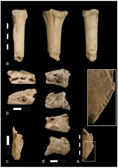 Zooarchaeological Evidence from Medieval Ojców Castle, Lesser Poland