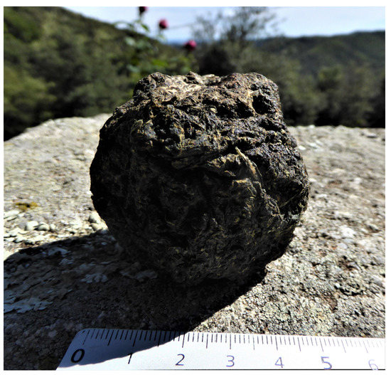 Woaded Blue: A Colorful Approach to the Dialectic between Written ...