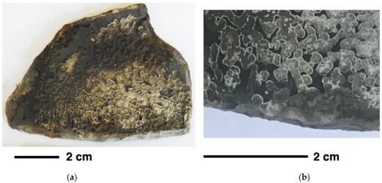 Chemical and Laser Cleaning of Corrosion Encrustations on Historical ...