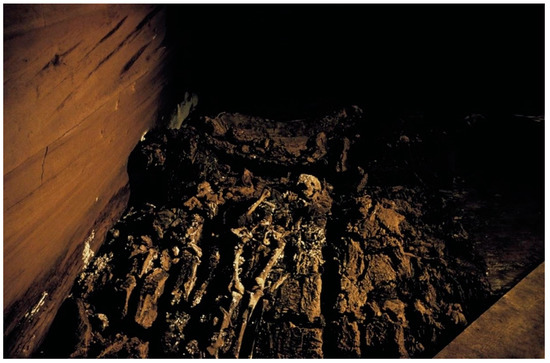 Ancient Chromophores and Auxiliaries: Phrygian Colorants from Tumulus ...