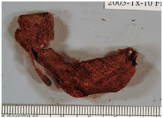 Heritage | Free Full-Text | Ancient Chromophores and Auxiliaries ...