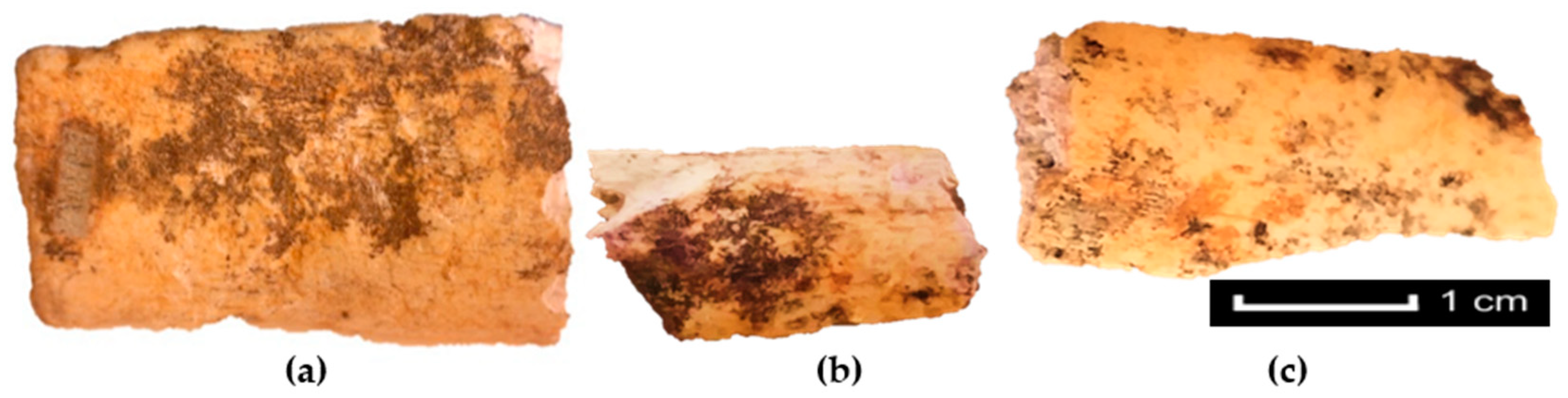 Ultra-Short Pulse Laser Cleaning of Contaminated Pleistocene Bone: A ...