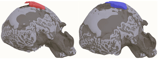 Heritage | Free Full-Text | A New Virtual Reconstruction of the Ndutu ...