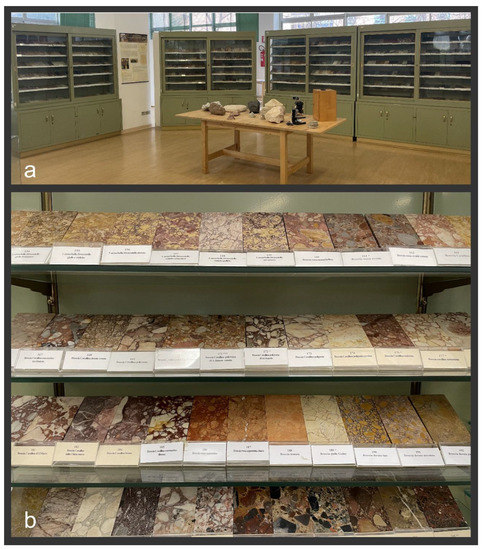 Roman Marble Collections in the Earth Sciences Museum of the University ...