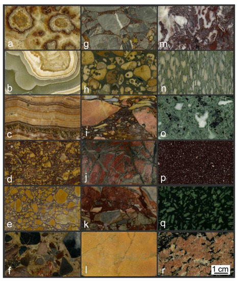 Roman Marble Collections in the Earth Sciences Museum of the University ...