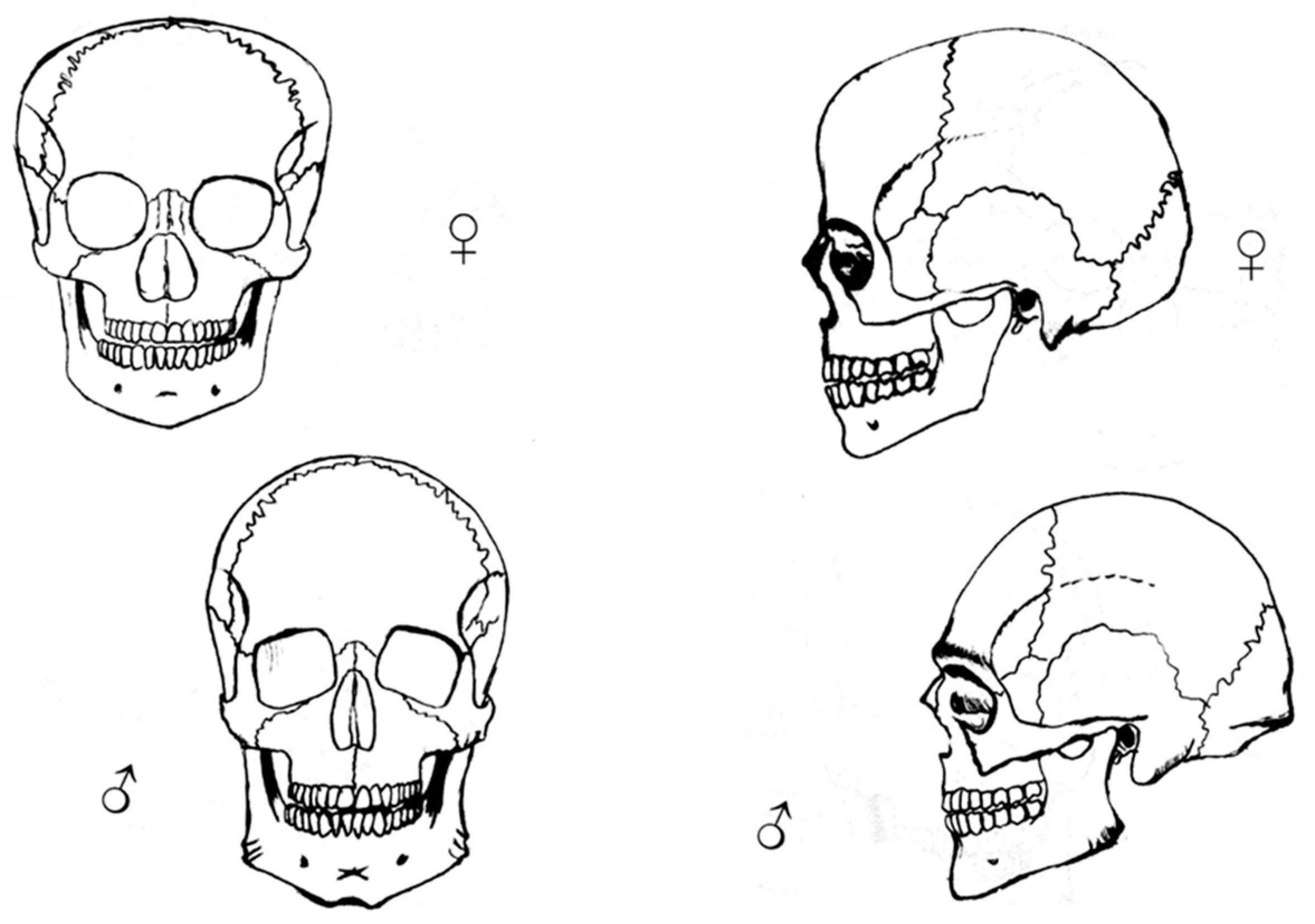 Enhancement And Communication Of Ancient Human Remains Through Vr The