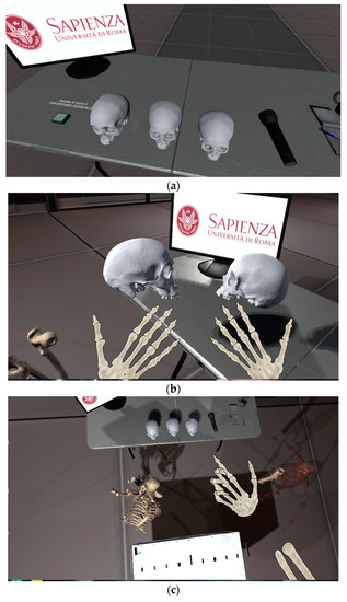 Enhancement and Communication of Ancient Human Remains through VR: The ...