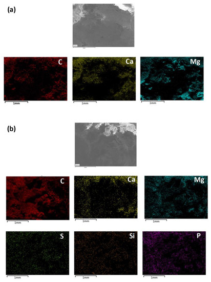 Archaeometric Identification of a Perfume from Roman Times