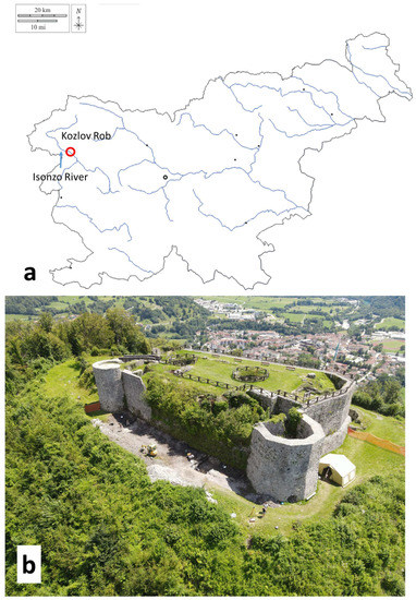 Metal Artefacts and Remains of Armour from Kozlov Rob Castle ...