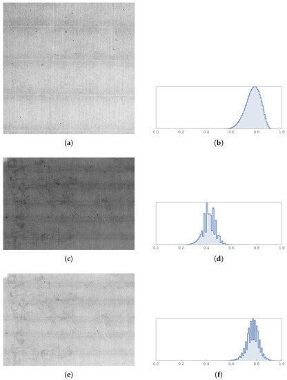 The Watermark Imaging System: Revealing the Internal Structure of ...