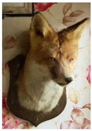 Assessment of 3D Model for Photogrammetric Purposes Using AI Tools Based on NeRF Algorithm