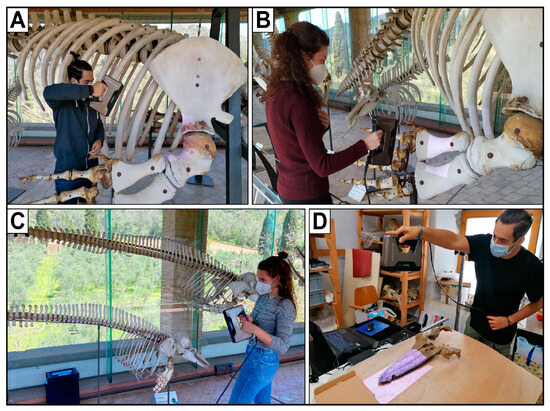 Structured-Light 3D Scanning as a Tool for Creating a Digital ...