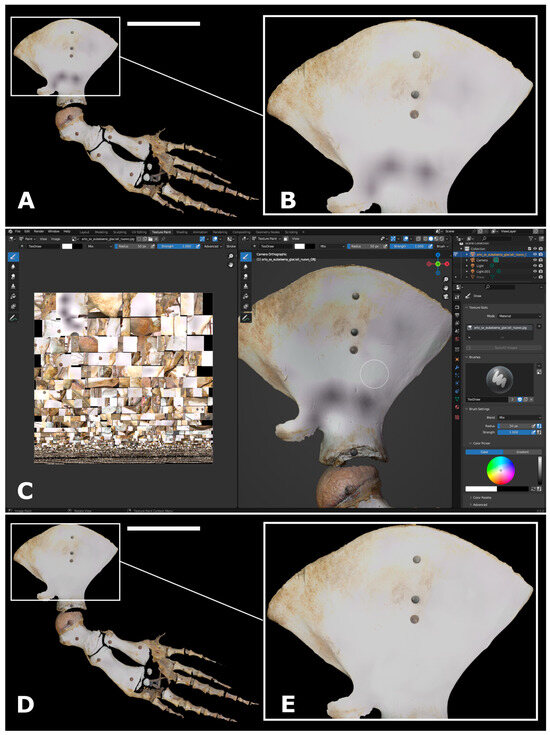 Structured-Light 3D Scanning as a Tool for Creating a Digital ...