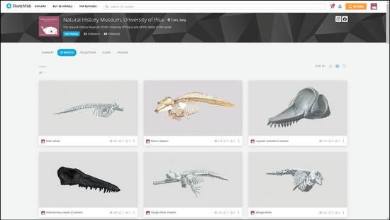 Structured-Light 3D Scanning as a Tool for Creating a Digital ...