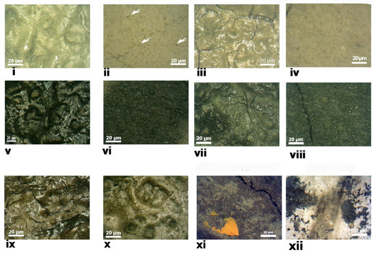 Integration of NDT to Assess Composite Contemporary Artworks Made on ...