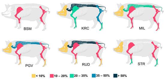 Exploitation of Pigs during the Late Medieval and Early Modern Period ...