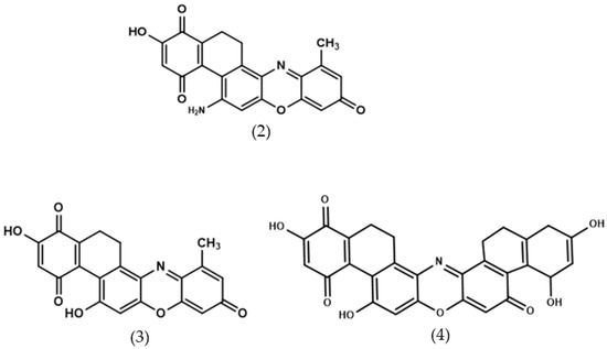 Components of Mid-Nineteenth- and Mid-Twentieth-Century Cudbears