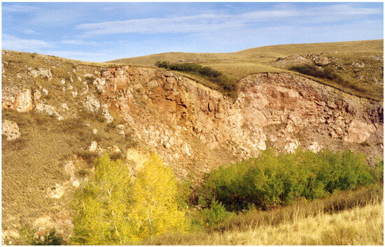 Neverovsky Palaeoreef and Associated Deep-Marine Facies: High-Value ...