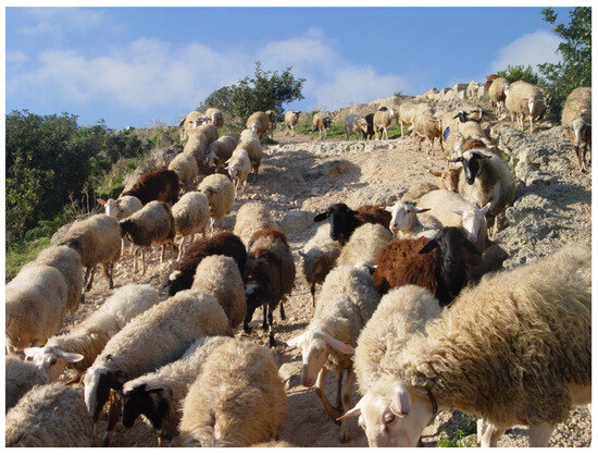 A Historical Landscape under Threat: Contestation and Preservation of ...