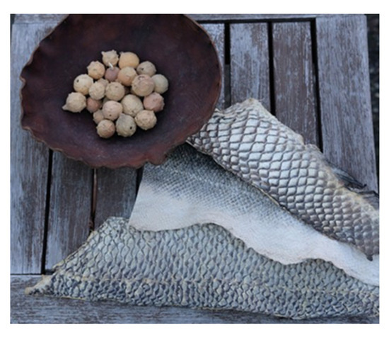 Heritage | Free Full-Text | Traditional Fish Leather Dyeing Methods ...