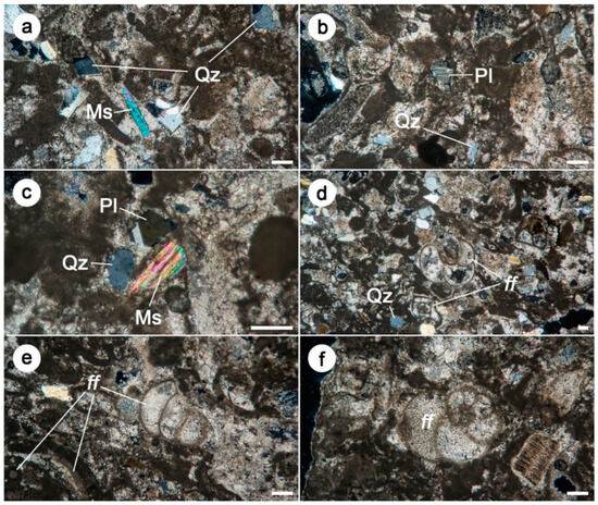 Preserving Cultural Heritage: Enhancing Limestone Durability with Nano ...