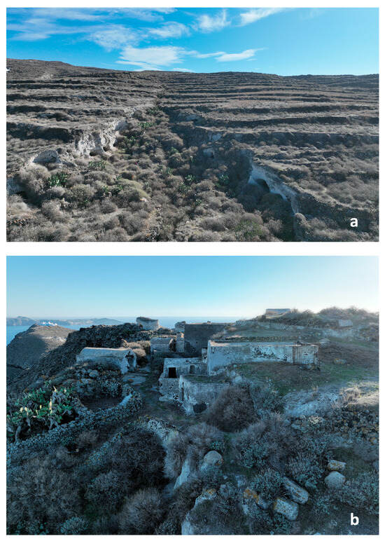The Rise and Decline of Settlement Sites and Traditional Rural ...