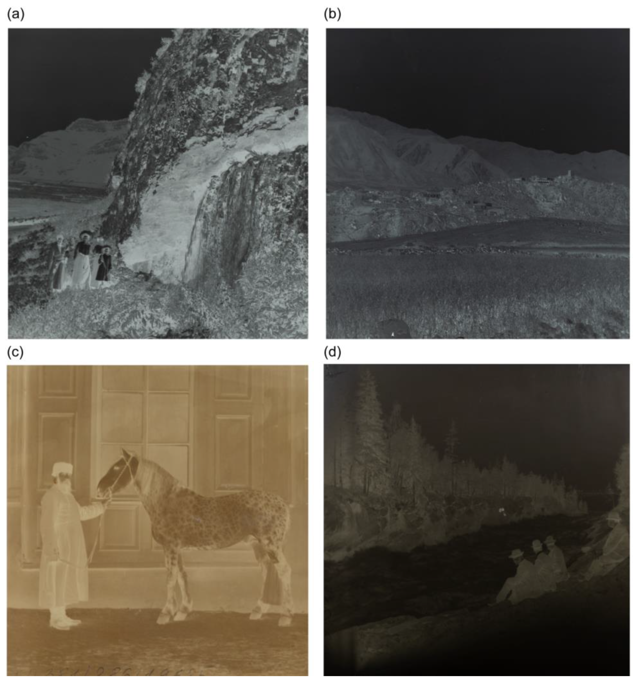RGB Approach for Pixel-Wise Identification of Cellulose Nitrate Photo ...