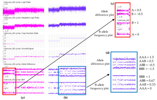 The Cytoscan HD Array in the Diagnosis of Neurodevelopmental Disorders