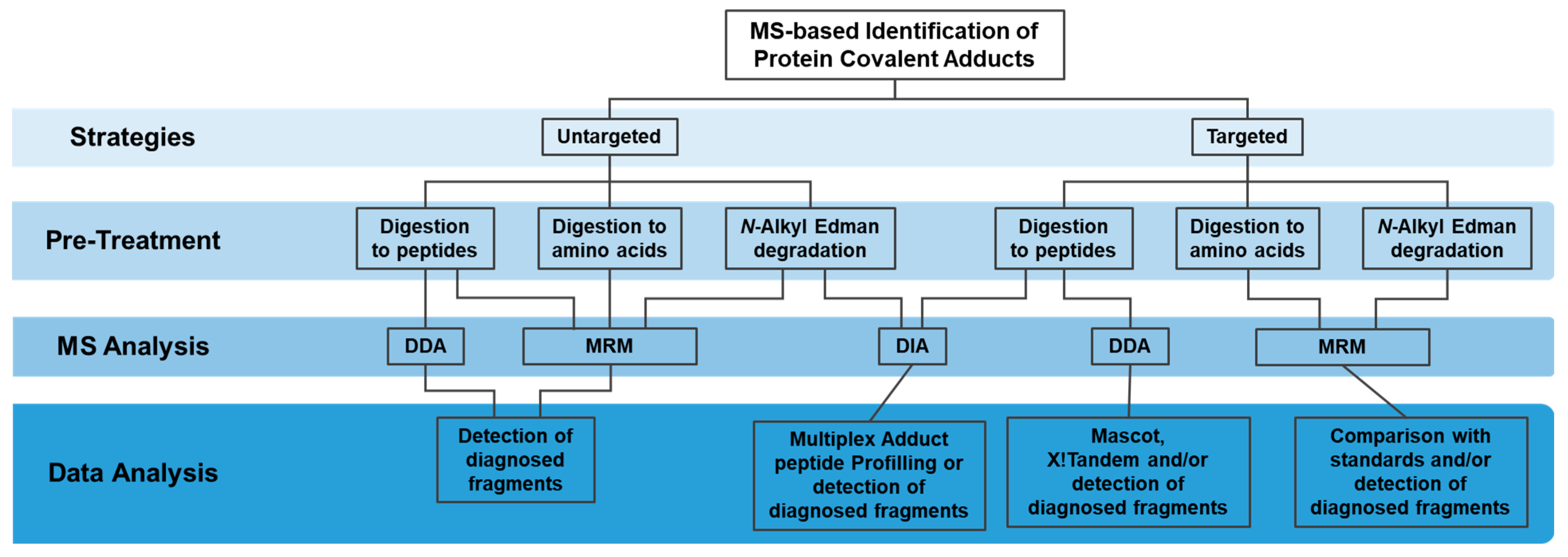 Mass Spectrometry-Based Methodologies for Targeted and Untargeted ...