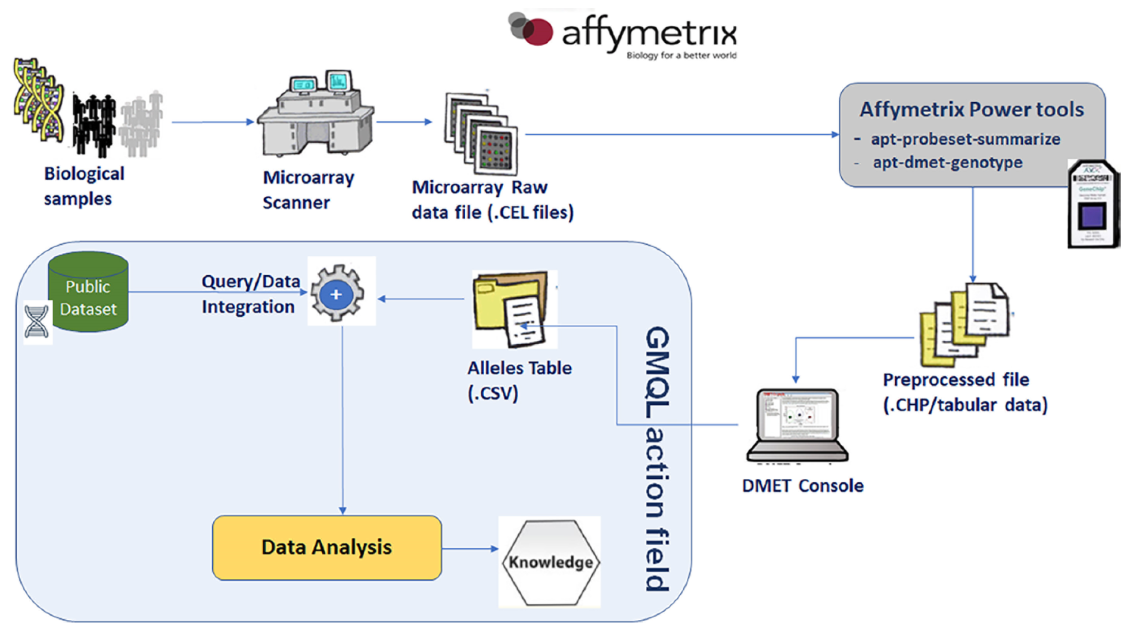 DMETTM Genotyping: Tools for Biomarkers Discovery in the Era of ...