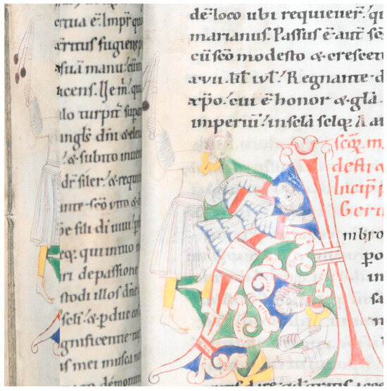 Fantastic Flails and Where to Find Them: The Body of Evidence for the ...