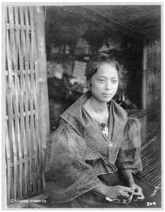 Racializing Mestizos and Mestizas in the Philippines—Dean Worcester’s ...