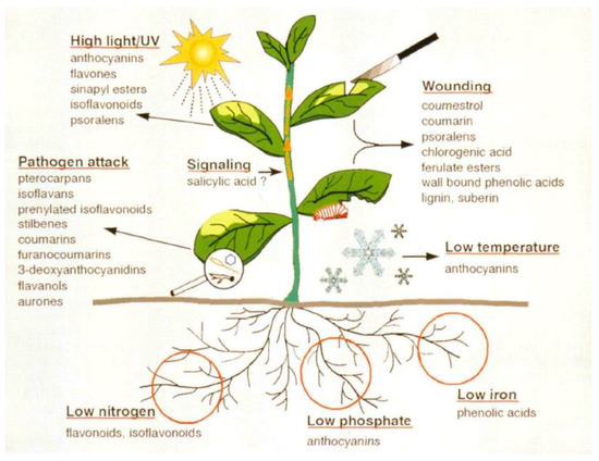 Horticulturae | Special Issue : Abiotic Stress Responses of Plants