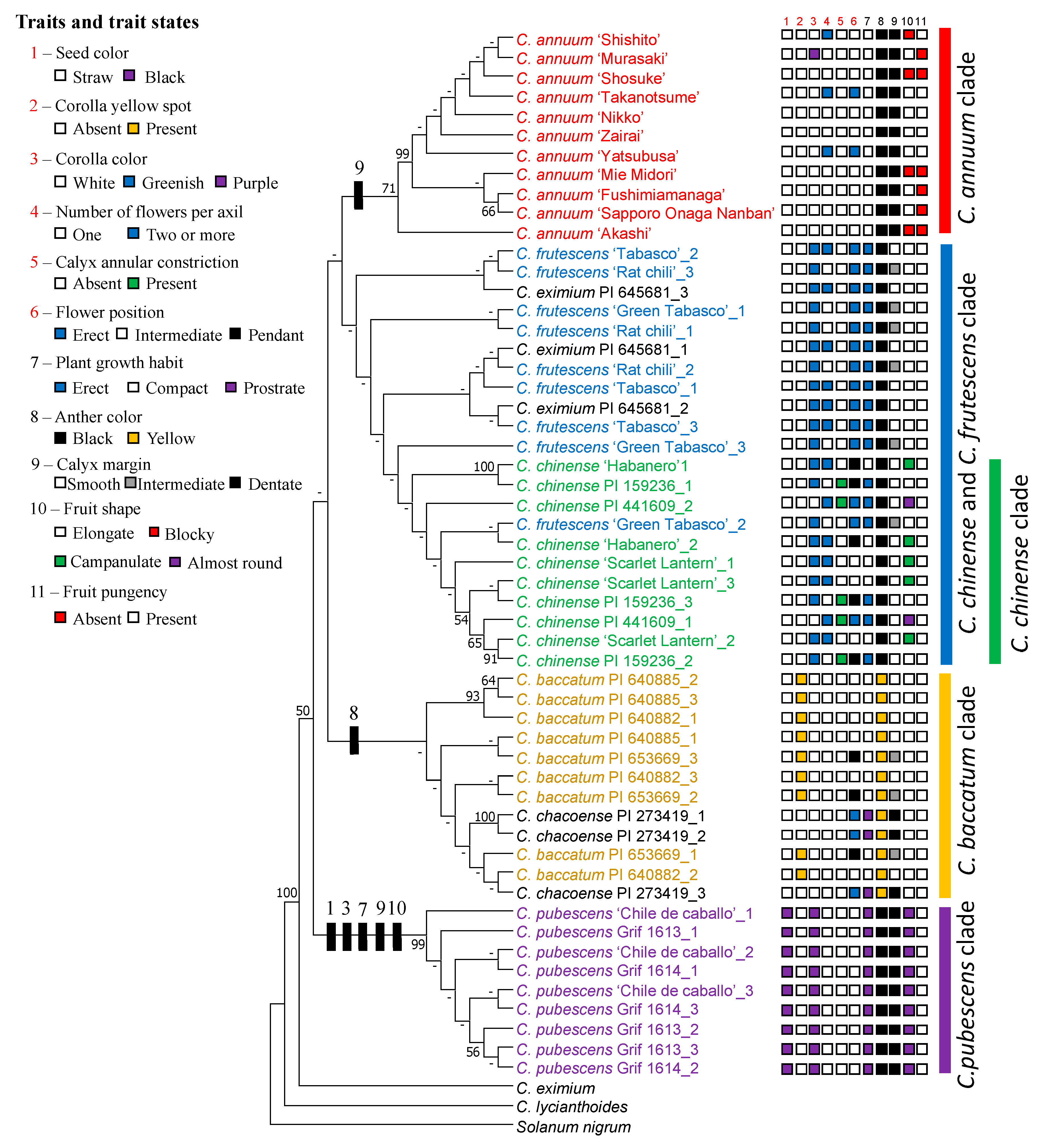 Phylogenetic Analysis and Molecular Diversity of Capsicum Based on rDNA ...